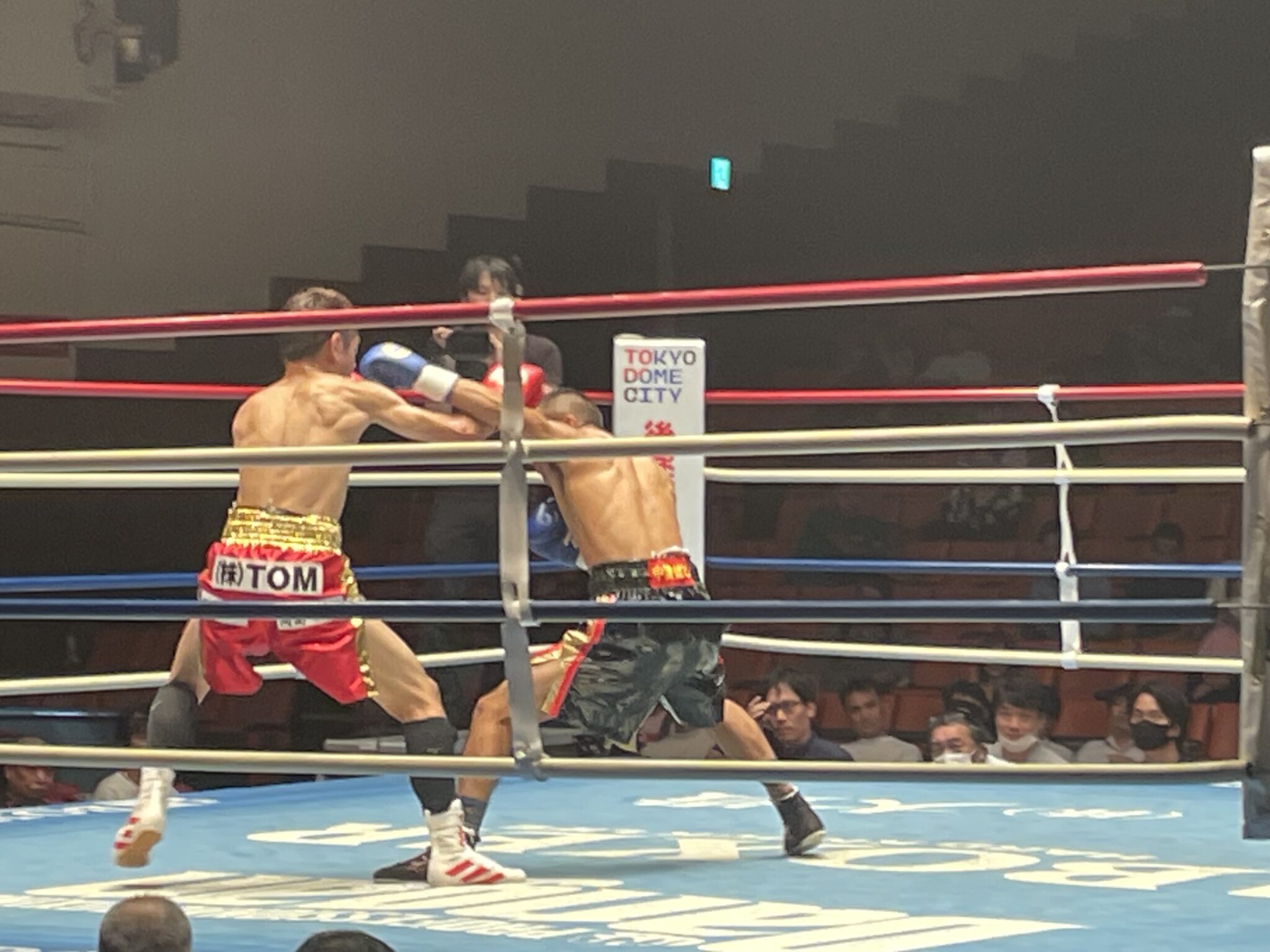 武居×天心へ！力石・矢吹兄弟同時世界王者へ！見どころ解説｜5/28 Lemino BOXING - torajiroボクシングブログ